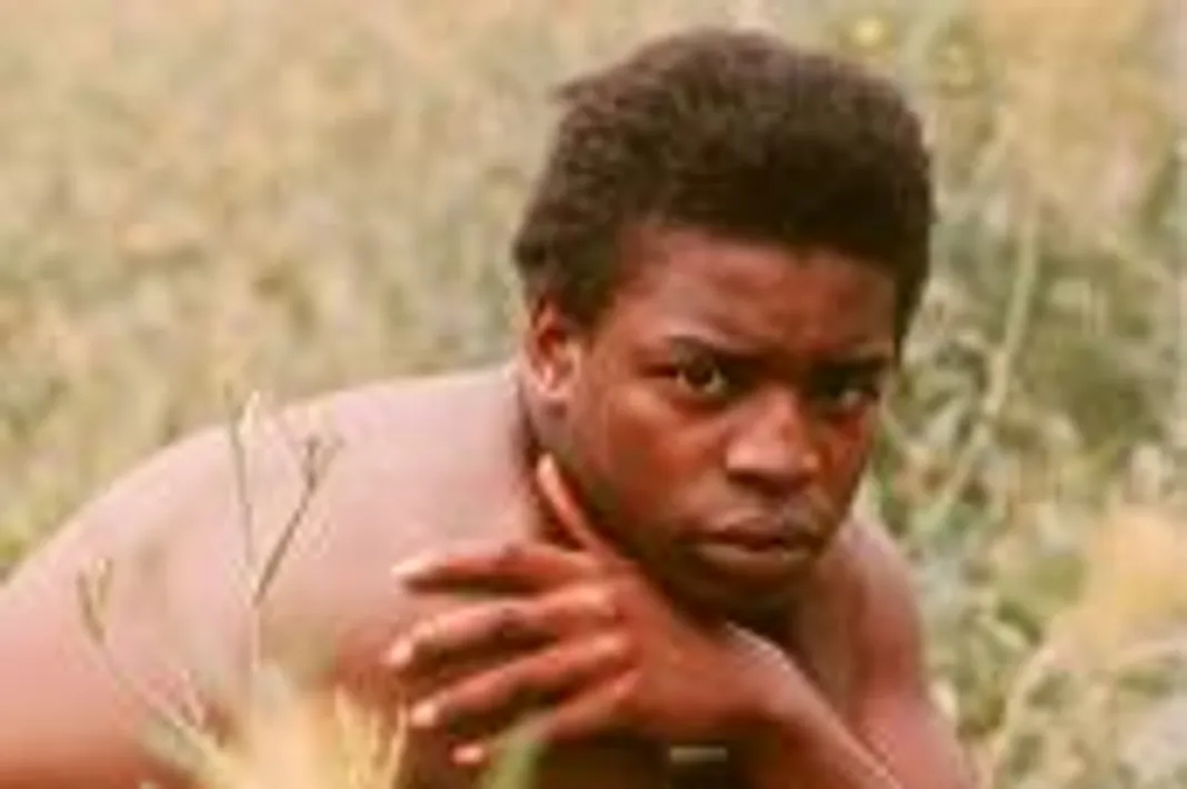 7 Things You Never Knew About 'Roots'