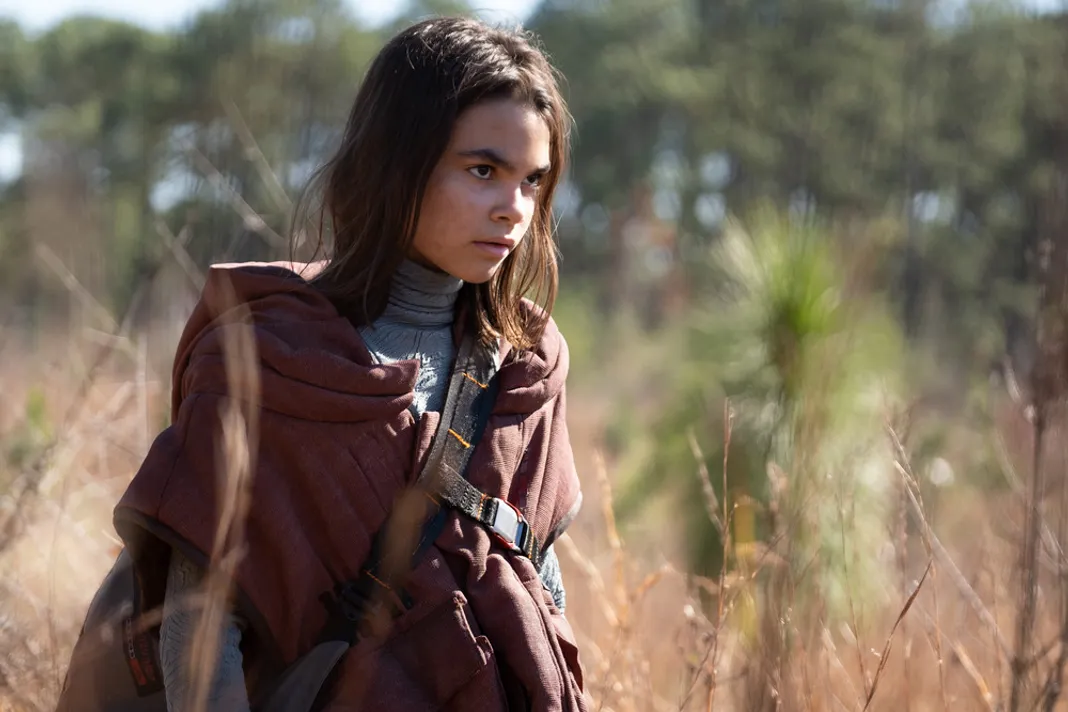 Most Popular Movies to Watch in Theaters This Week (2024/11/27 ...