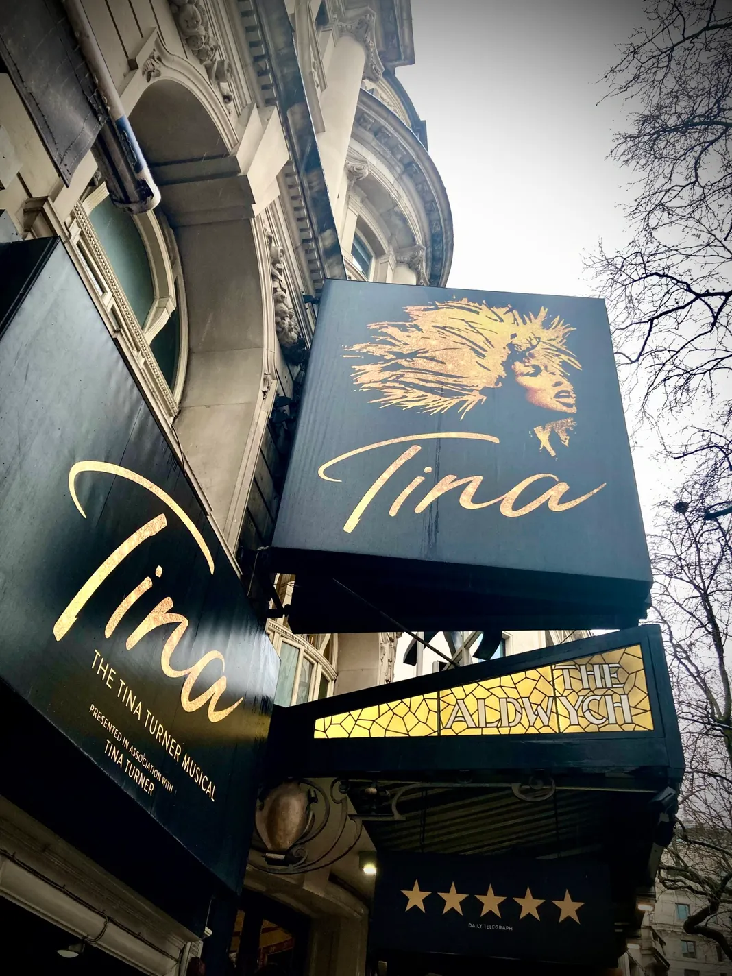 Tina--The Tina Turner Musical: Looking Back (and Ahead) With Tina's ...