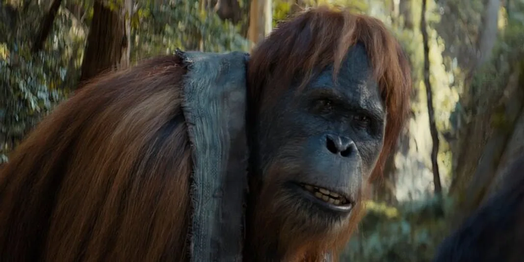INTERVIEW: KINGDOM OF THE PLANET OF THE APES STAR PETER MACON (RAKA ...